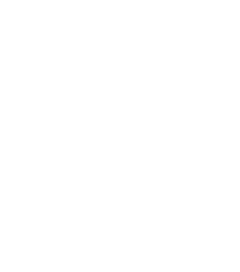 Tygron Platform – Accelerated Simulations for Engineers